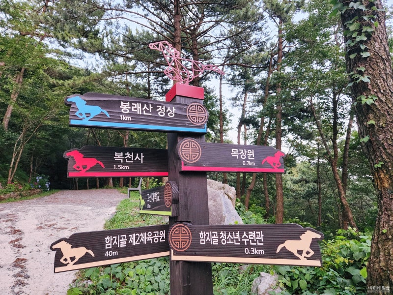 부산 영도 봉래산 등산코스 목장원 출발 야경 명소 네이버 블로그