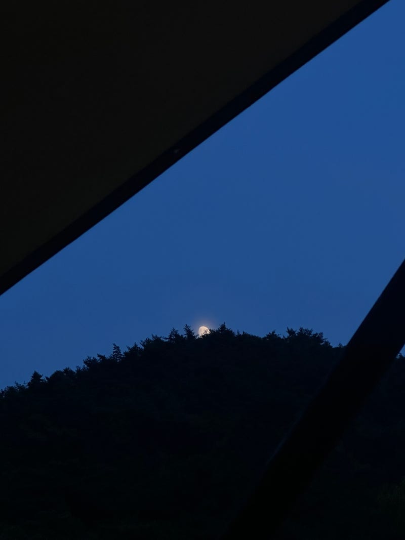 제천 글램핑 숲 속에 위치한 역대급 뷰의 글램핑장 청풍월드니스글램핑 네이버 블로그