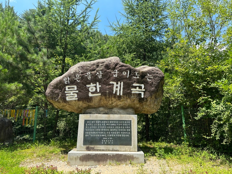 충청도 계곡 대전 근교 물한계곡 물놀이 평상 충북 영동 가볼만한곳 네이버 블로그