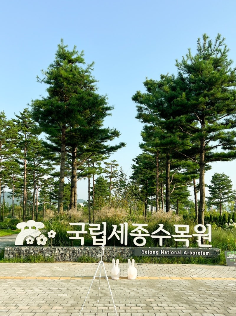 대전 근교 가볼만한곳 국립세종수목원 야간개장 아이와 실내데이트 네이버 블로그