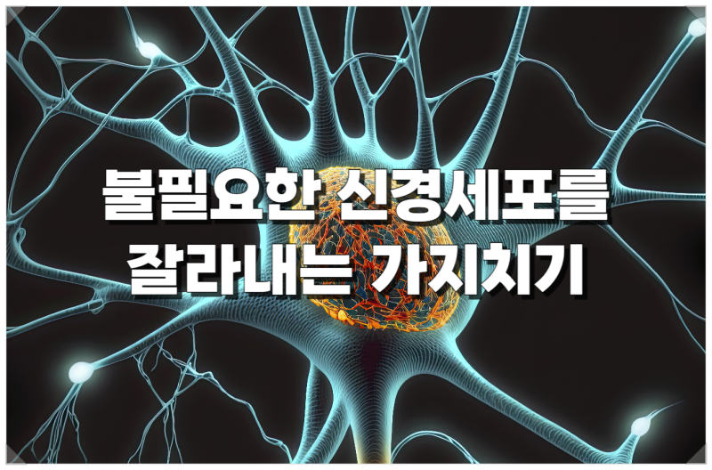 대구아동발달센터 언어발달의 결정적 시기와 언어치료 네이버 블로그