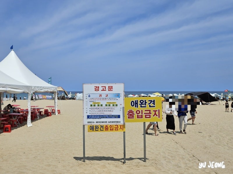 강원도 양양 중광정 해수욕장 서피비치 서핑 강습 서피패스 정보 네이버 블로그