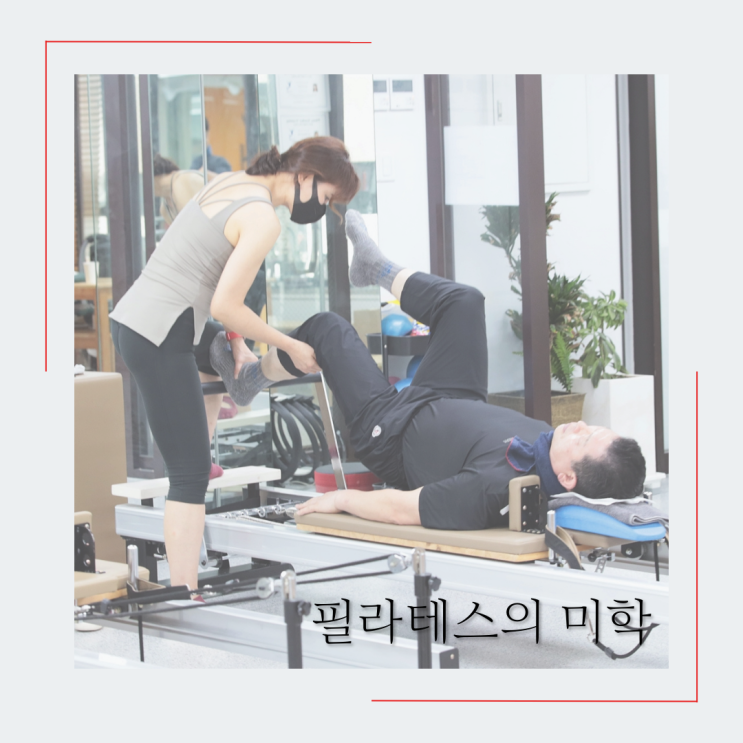 남산동필라테스 더 강한 몸과 균형 잡힌 마음으로 삶의 질 높이는 법