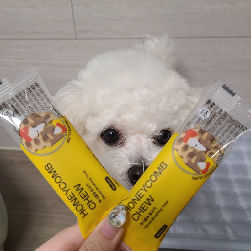 강아지 치석 제거 개껌 추천 바이레프 허니콤츄 덴탈 껌 네이버 블로그