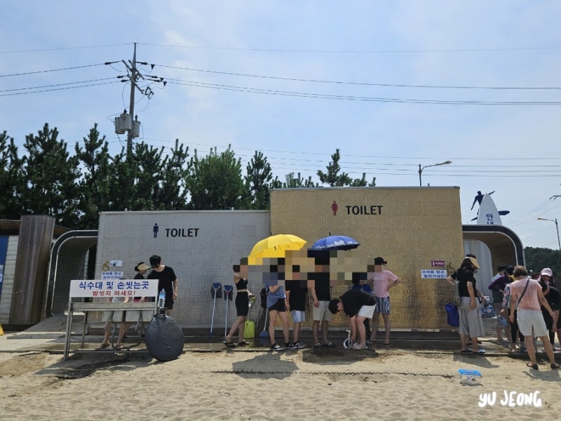 강원도 양양 중광정 해수욕장 서피비치 서핑 강습 서피패스 정보 네이버 블로그