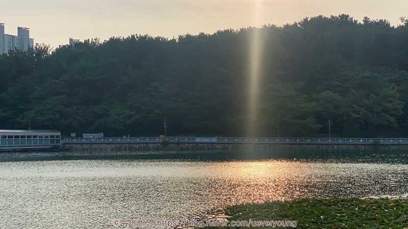 창원 가볼만한곳 용지호수공원 네이버 블로그