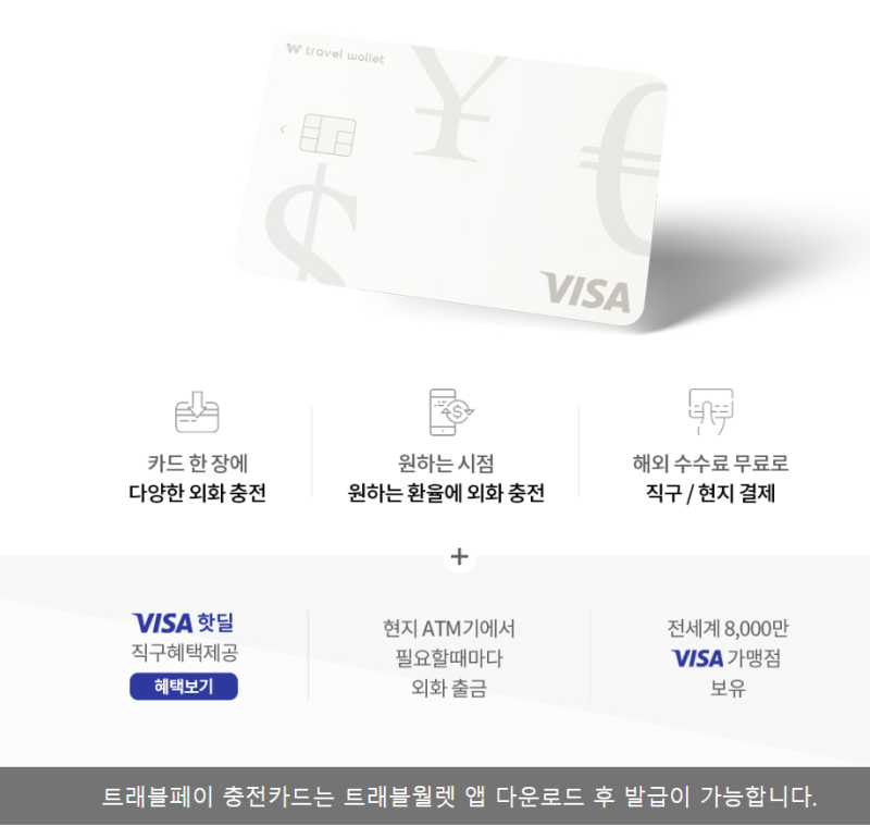발리 여행 준비 총정리 비자 전자세관신고 유심 트레블월렛 공항픽업 발리필수어플 네이버 블로그