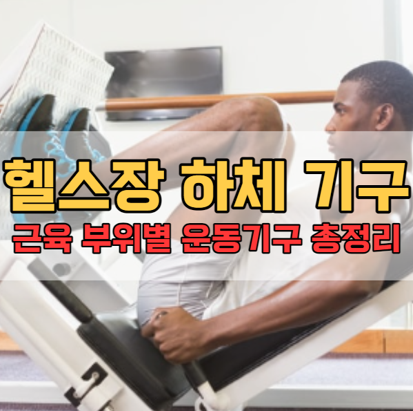 헬스장 하체 기구 이름 효과 루틴 이거 하나로 끝내기 네이버 블로그