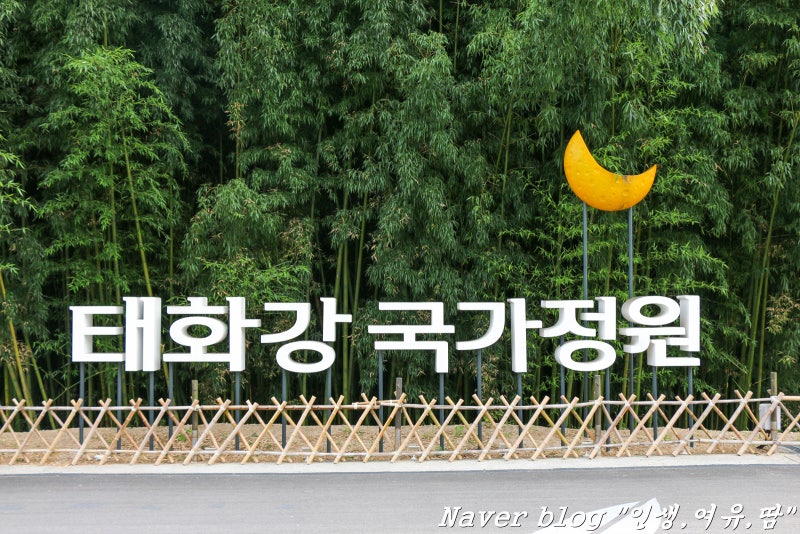 울산 태화강 국가정원 십리대숲 은하수길 울산여행 네이버 블로그