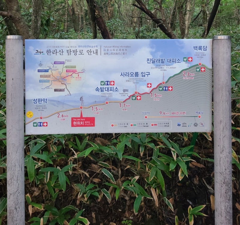 제주도 한라산 등산 코스성판악 주차장~속밭 대피소~사라오름 입구~진달래밭 대피소~백록담~원점 네이버 블로그