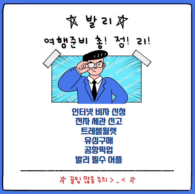 발리 여행 준비 총정리 비자 전자세관신고 유심 트레블월렛 공항픽업 발리필수어플 네이버 블로그