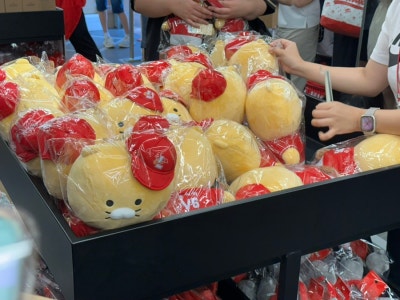 카카오프렌즈 X KBO SSG랜더스 춘식이 야구 인형 가격, 구입 후기! : 네이버 블로그