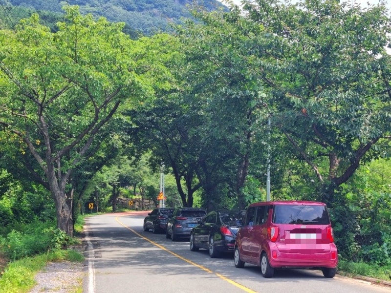밀양 삼랑진 밥집 도연정 나만 알고 싶은 진짜 맛집 네이버 블로그