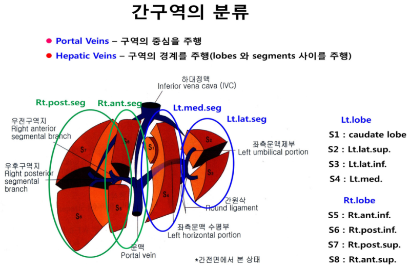 복부 초음파에 대해 알아봅시다 Part2 간병변 지방간간경화간혈관종간암 네이버 블로그