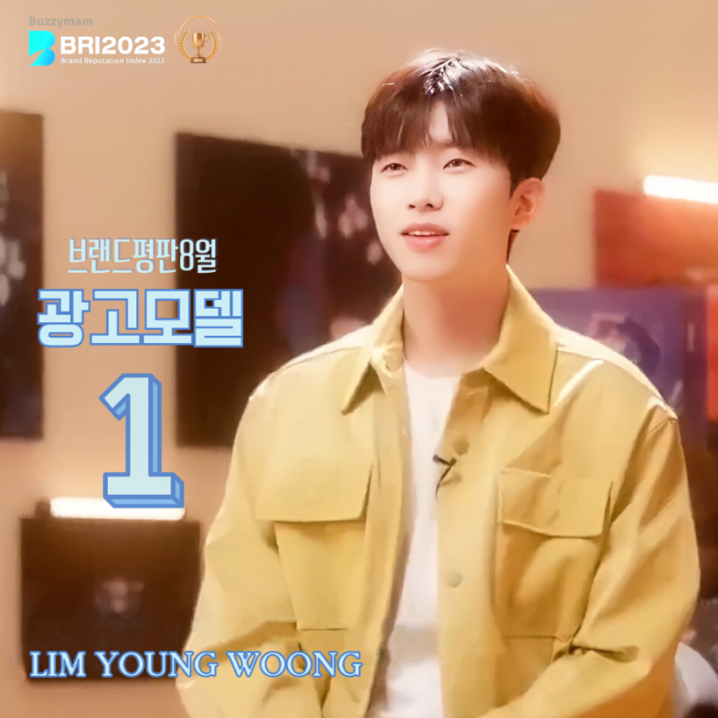임영웅 브랜드평판 8월 광고모델 1위 감성장인 최고의 가창력 멋진가수 응원합니다 네이버 블로그