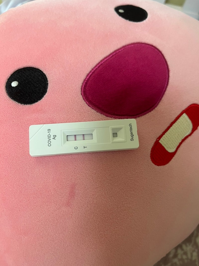 소방설비기사 전기분야 실기 독학 합격후기 비전공자 교재추천 공부방법 등 네이버 블로그