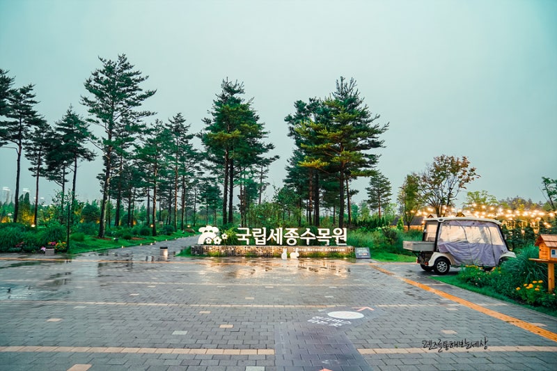 세종 가볼만한곳 국립세종수목원 야간개장 피터래빗 비밀의 정원 네이버 블로그
