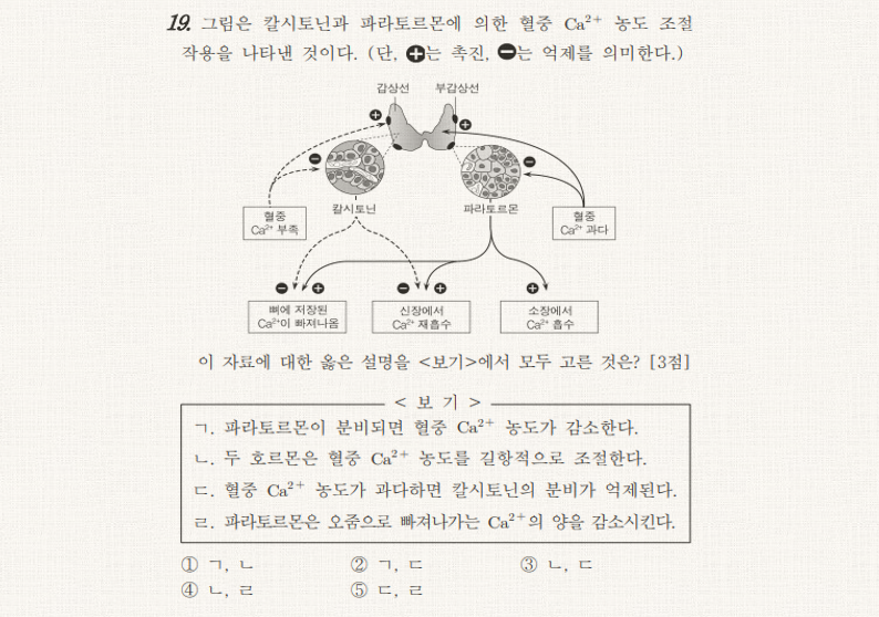 저칼슘혈증 증상 원인 치료부갑상선호르몬 비타민d 네이버 블로그