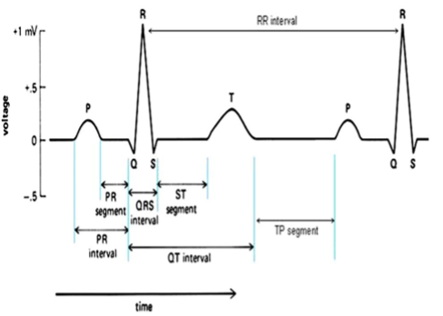 정신과 정신건강의학과 스트레스검사, HRV 검사의 모든 것 (+결과지 해석법) : 네이버 블로그