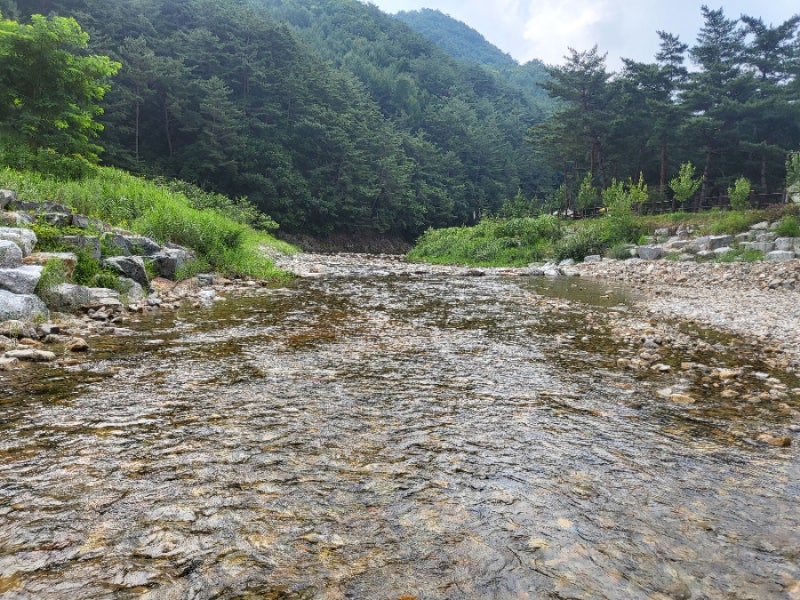 강원도 홍천 용오름 계곡~ 용오름 캠핑장 네이버 블로그