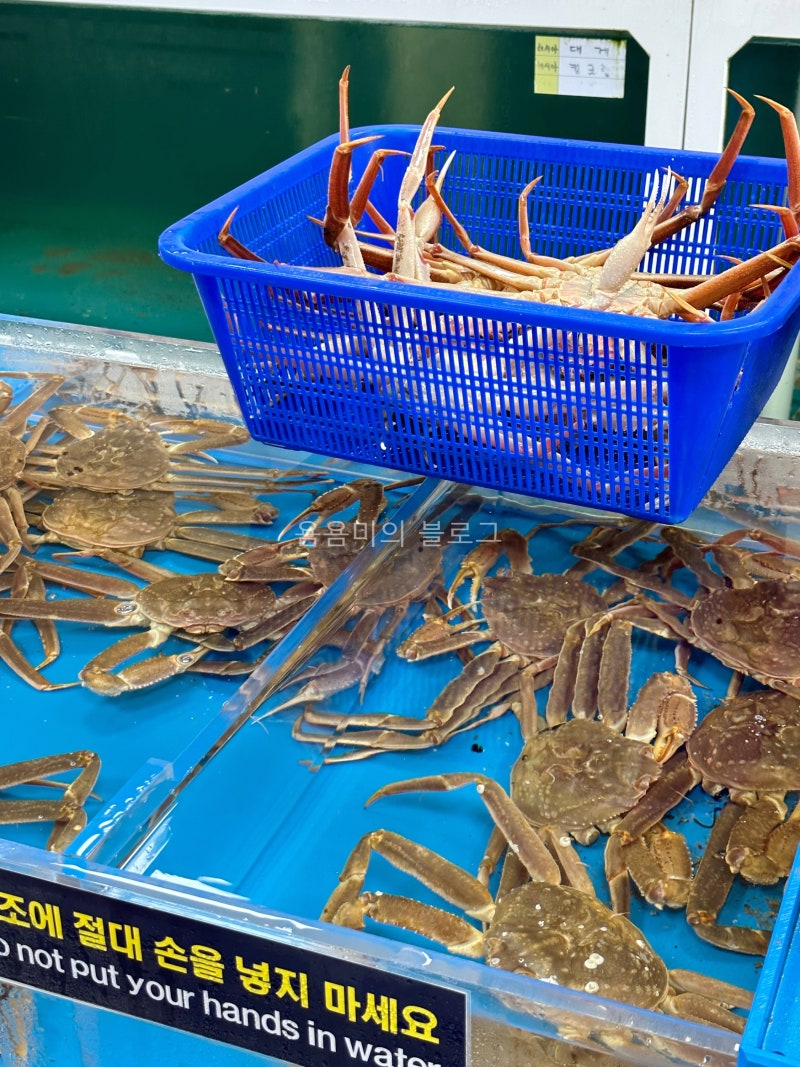 양산 대게만찬 가격 룸식당 예약 솔직 후기 네이버 블로그