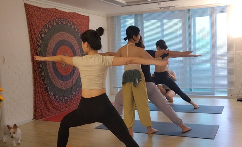 청주요가/교정요가/전문소그룹반/하반기모집안내/9월초보자반모집/예약제운영/내덕동요가 /soo yoga : 네이버 블로그