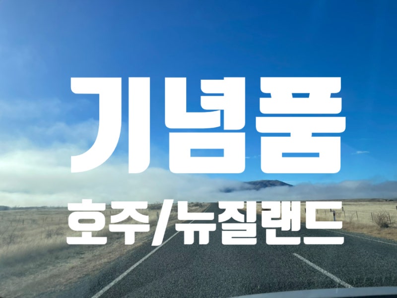 호주뉴질랜드 기념품 리스트 기념품 저렴하게 사는 꿀팁 기념품 사는 곳 네이버 블로그