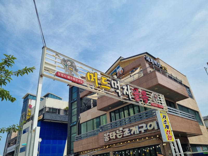 대천 키조개삼합 맛집 대천해수욕장 불타는조개구이 네이버 블로그
