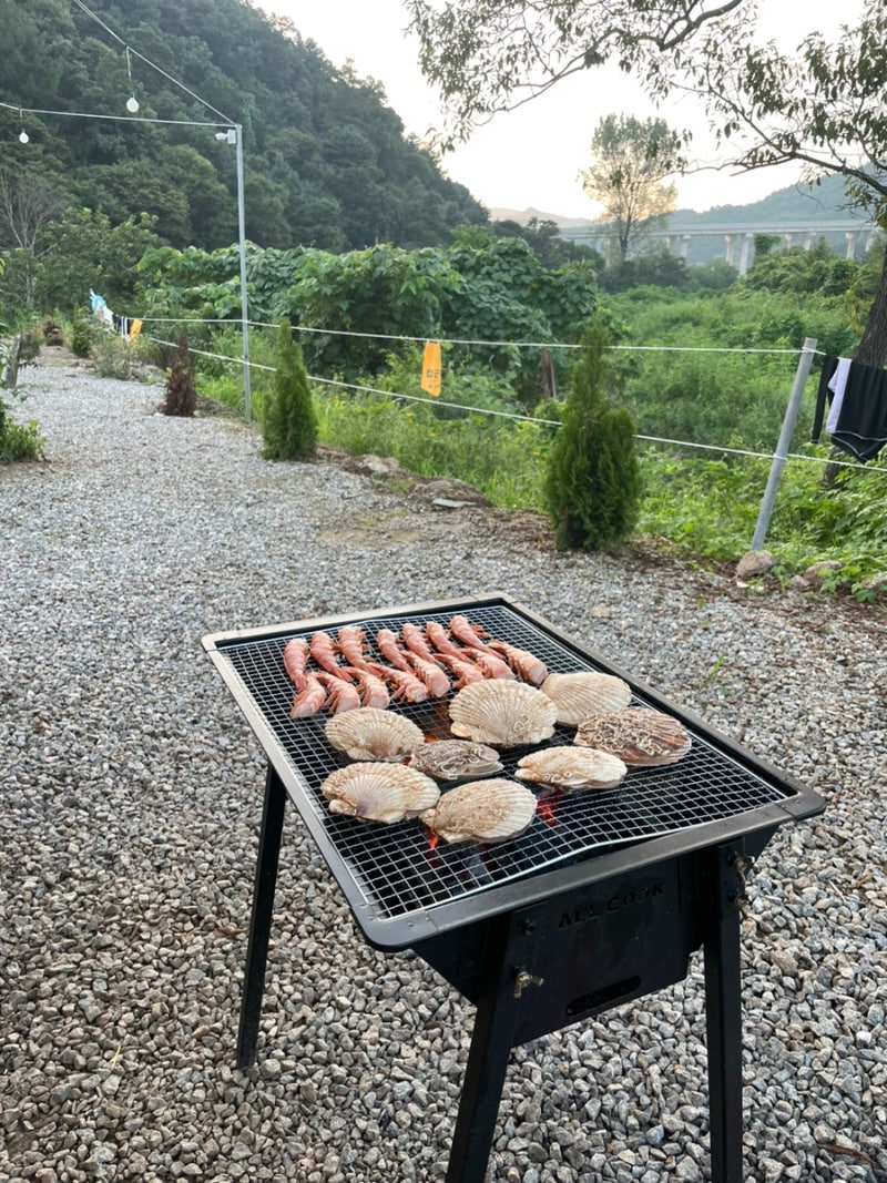 서울근교 감성글램핑 가평숙소로 추천하는 ‘가평더캠프카라반글램핑캠핑용 가리비 강추템 네이버 블로그