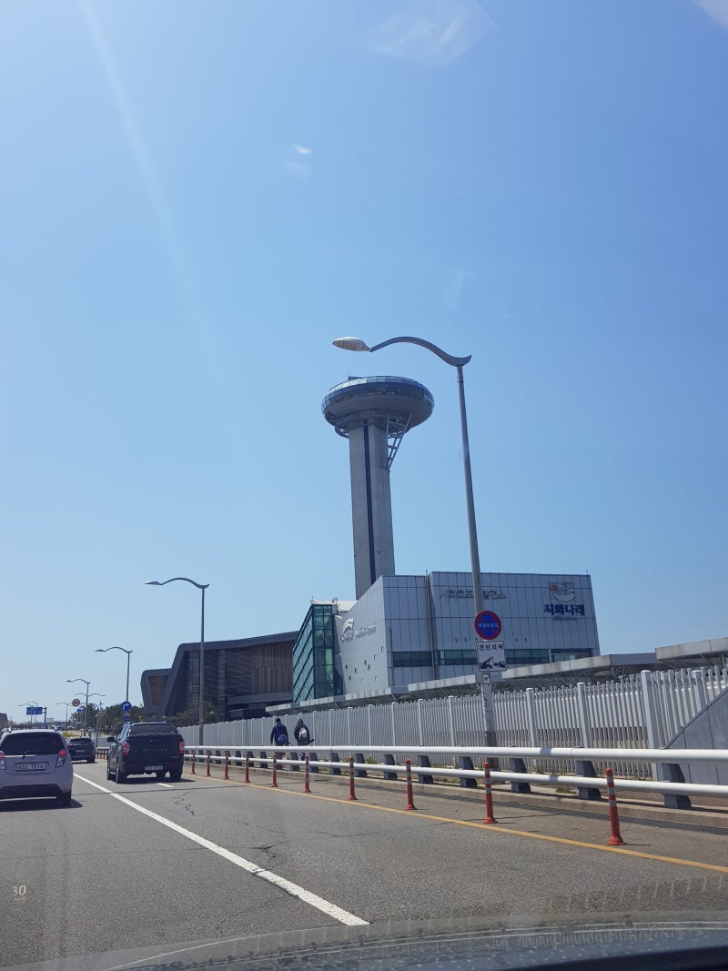 안산여행지 종현어촌체험마을 갯벌체험조개캐기종현어촌체험관광마을종현어촌휴양체험마을대부도여행지안산체험대부도체험구봉도