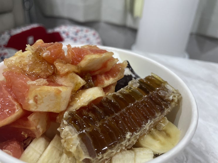 서울신림 요거트 아이스크림의 정석요아정 여름에 찰떡인 요아정 추천