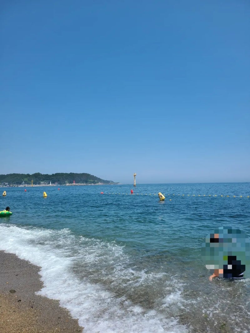 경주 여름휴가230729~0801 2일차 감포 나정고운모래해변 네이버 블로그