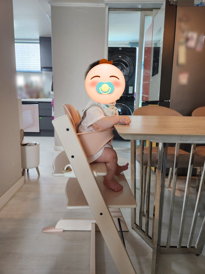 돌고돌아 스토케 트립트랩 베이비세트 트레이 후기 Hej 하이체어 비교 네이버 블로그