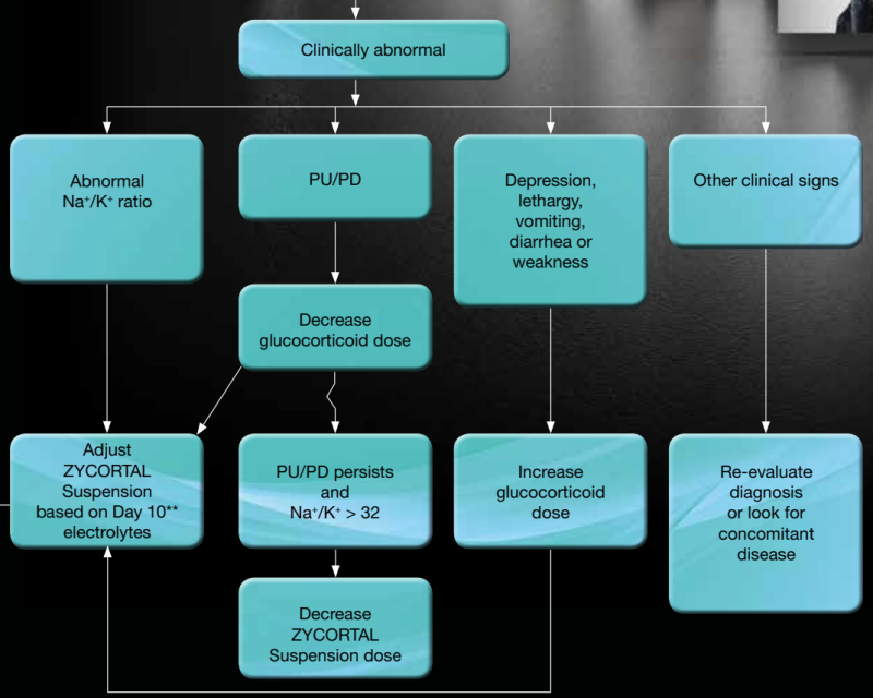 자이코탈 Zycortal (DOCP) 투여 방법 : 네이버 블로그
