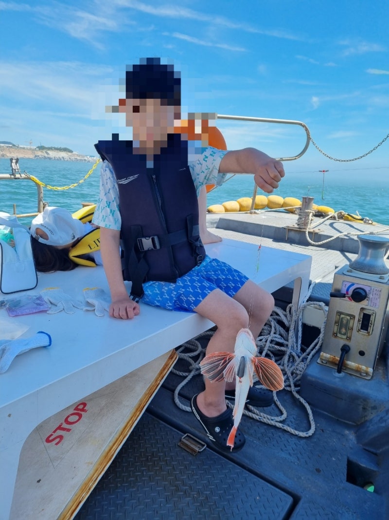 울산선상체험낚시울산선상낚시체험 울산배낚시 울산생활낚시 울산선상낚시 울산초보낚시 울산바다낚시 울산가족체험 울산관광