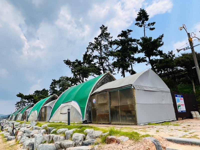 함평 돌머리해수욕장 물때 전남 물놀이장 가볼만한곳 네이버 블로그