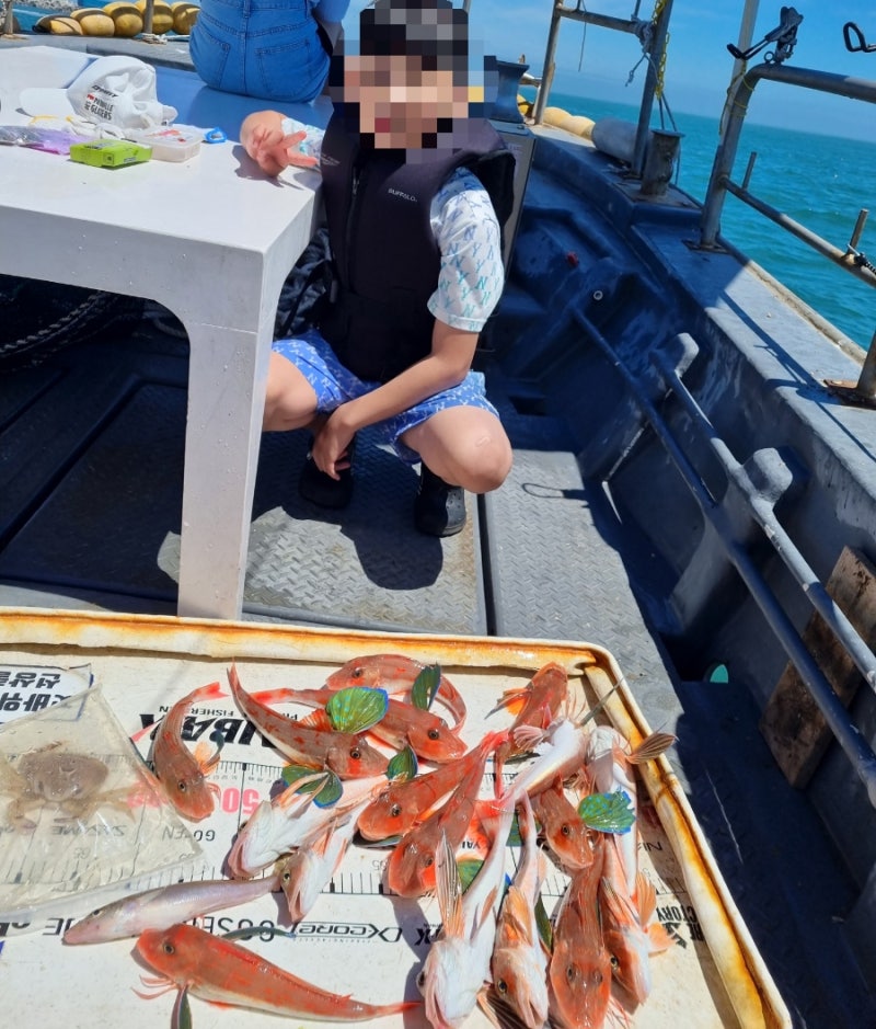울산선상체험낚시울산선상낚시체험 울산배낚시 울산생활낚시 울산선상낚시 울산초보낚시 울산바다낚시 울산가족체험 울산관광