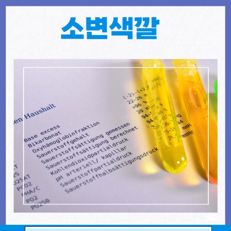 소변색깔 노란소변 주황색소변 냄새 붉은색 혈뇨 소변이 탁해요 오줌색깔 단백뇨 네이버 블로그