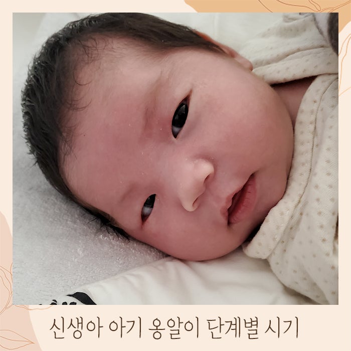 신생아 아기 옹알이 시기 아기엄마소리 말하는시기는 네이버 블로그