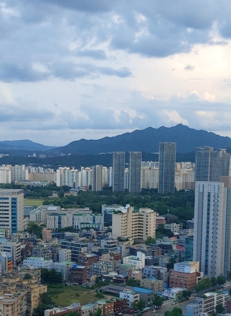 용산 오피스텔 임장 2 용산래미안더센트럴 용산대우월드마크 용산파크자이 네이버 블로그