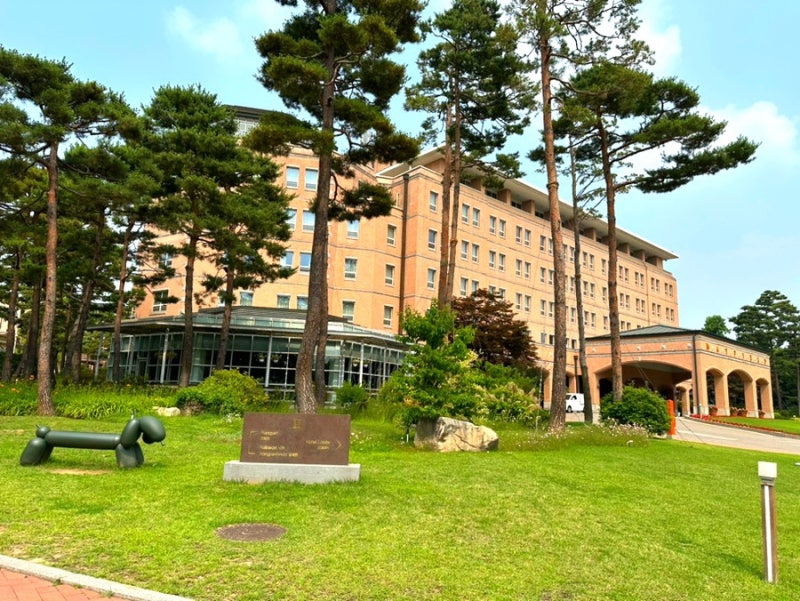 서울 호캉스 메이필드 호텔 스탠다드 트윈룸 객실 후기 및 최저가 예매 방법 네이버 블로그