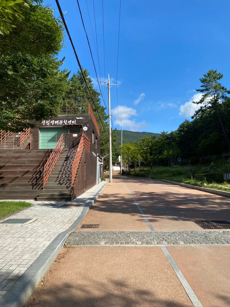 부산 근교 물놀이 명소 해운대 대천공원 장산계곡 뚜벅이로 당일치기 네이버 블로그