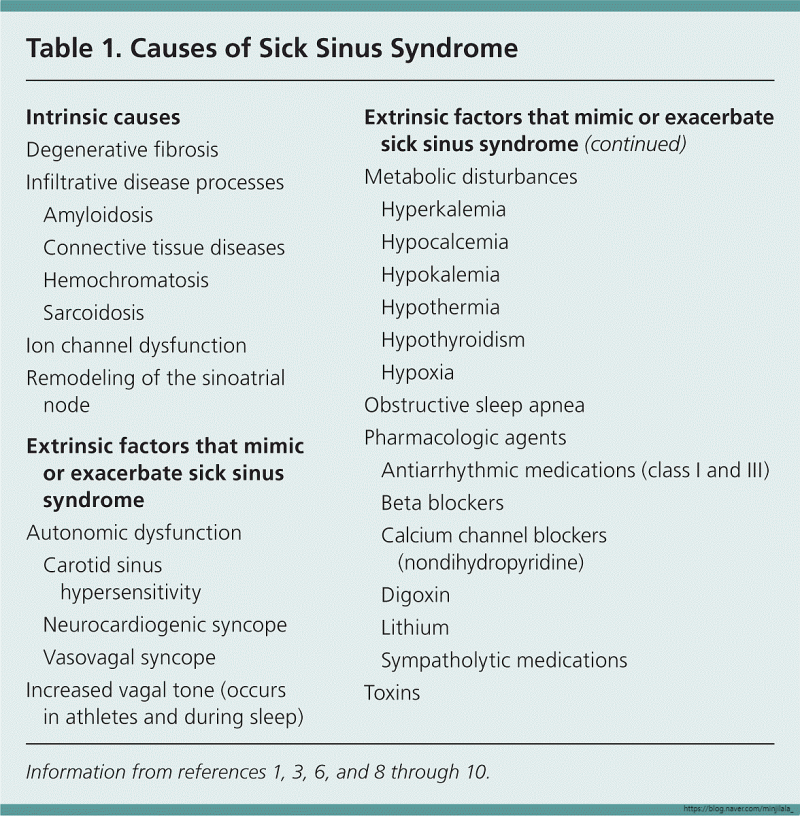 동기능부전증후군 SSS sick sinus syndrome SA block SA arrest 정의 심전도 검사 치료 ...