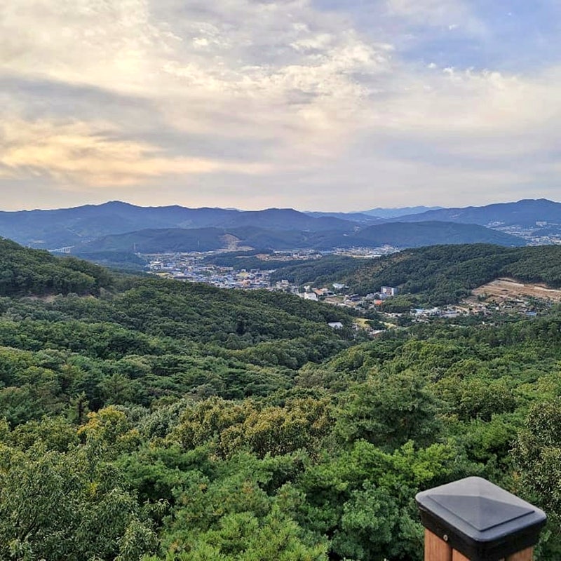 용인자연휴양림 캠핑장 카라반 짚라인 놀거리 에코어드벤처 숲놀이터 추천 네이버 블로그