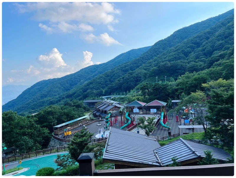 경남 함양 함양의 인기 휴양림추천 대봉캠핑랜드사나래관 불로초 네이버 블로그