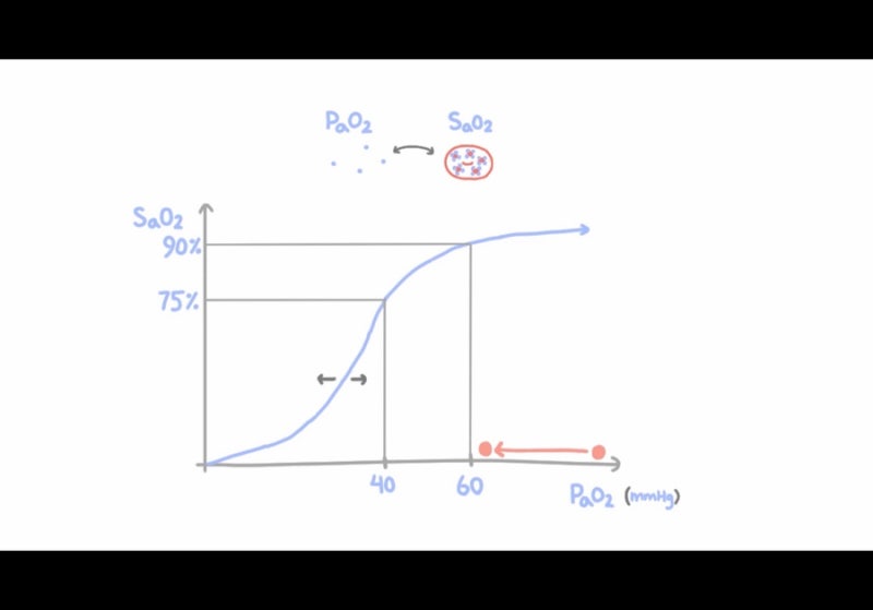 SaO2, SpO2, PaO2 차이, 산소해리곡선 : 네이버 블로그