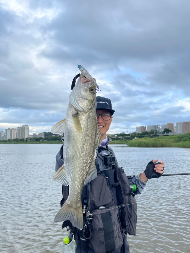 네이버 인플루언서