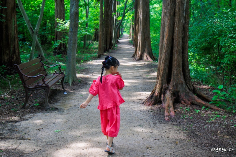 경주 수목원 당일치기 산책로 경북 천년 숲 정원구 경북산림환경연구원 네이버 블로그