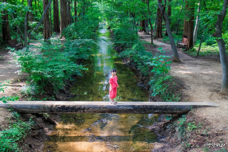 경주 수목원 당일치기 산책로 경북 천년 숲 정원구 경북산림환경연구원 네이버 블로그