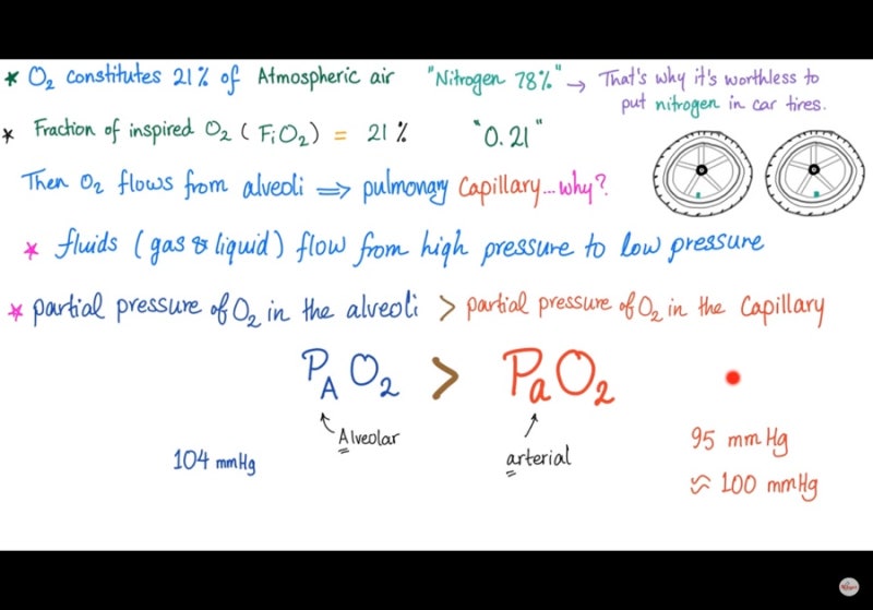 SaO2, SpO2, PaO2 차이, 산소해리곡선 : 네이버 블로그